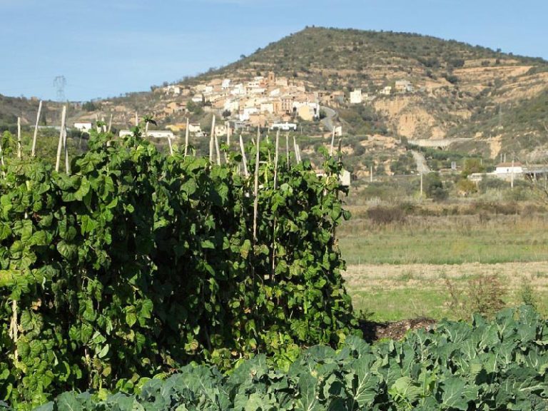 El Grado: Descubre su Encanto Natural y Cultural